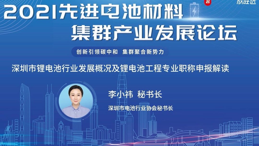 深圳市电池行业协会秘书长李小祎《深圳市锂电池行业发展概况及锂...