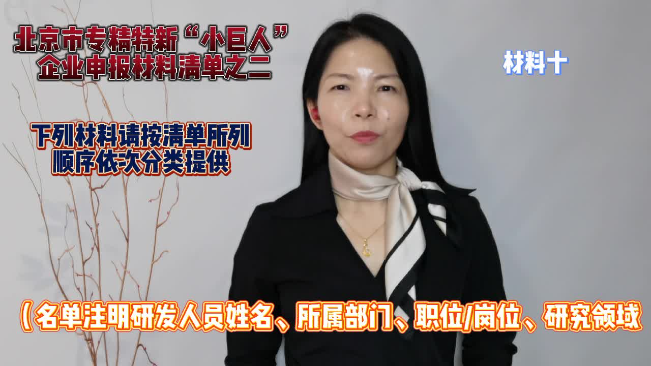 北京市专精特新“小巨人”企业申报材料清单之二
