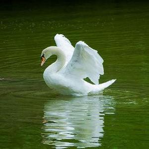 炒股的100种场景 