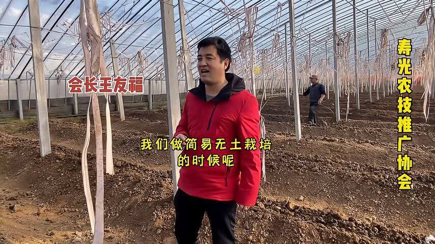 简易无土栽培种植番茄,挖沟槽前先浇垄,土密实后挖沟槽更标准!