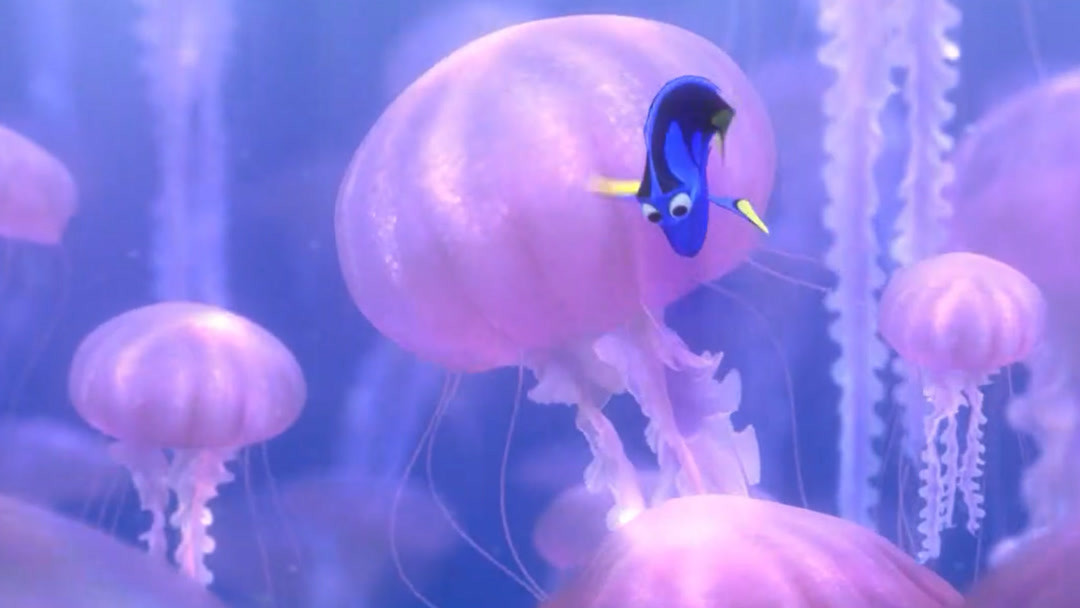 海底总动员:小蓝鱼铁憨憨,剧毒水母头顶玩蹦床,真是嫌命长