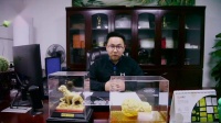 寒假大学生社会实践之寻访优秀校友,感悟成长道路-长沙民政职业技术...