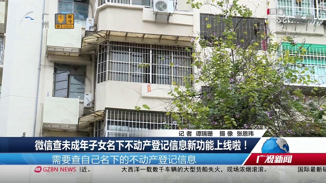 微信查未成年子女名下不动产登记信息新功能上线啦!