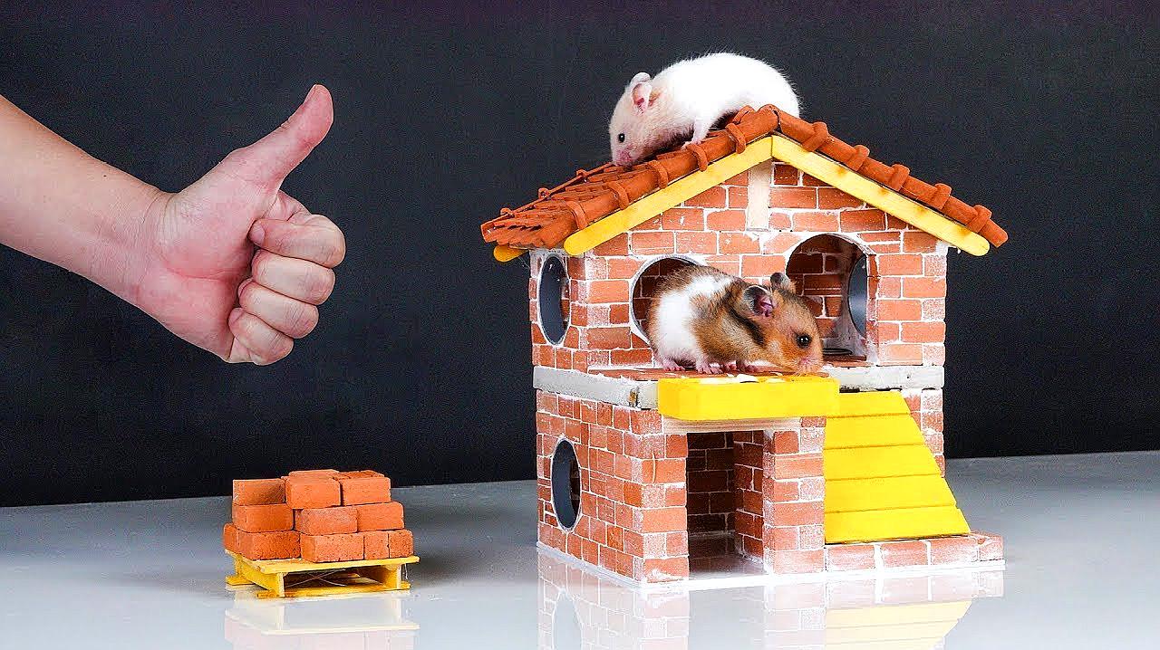 手工达人给小仓鼠制作豪华小房子