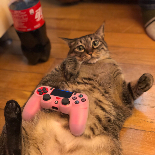 mikeyMsmc 