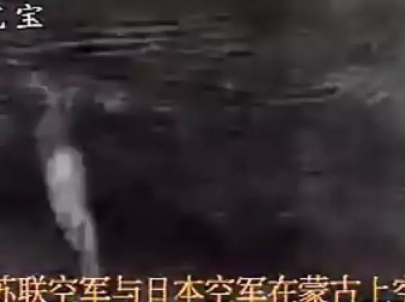 第二次世界大战实录---11寻找金羊毛(雅尔塔会议)
