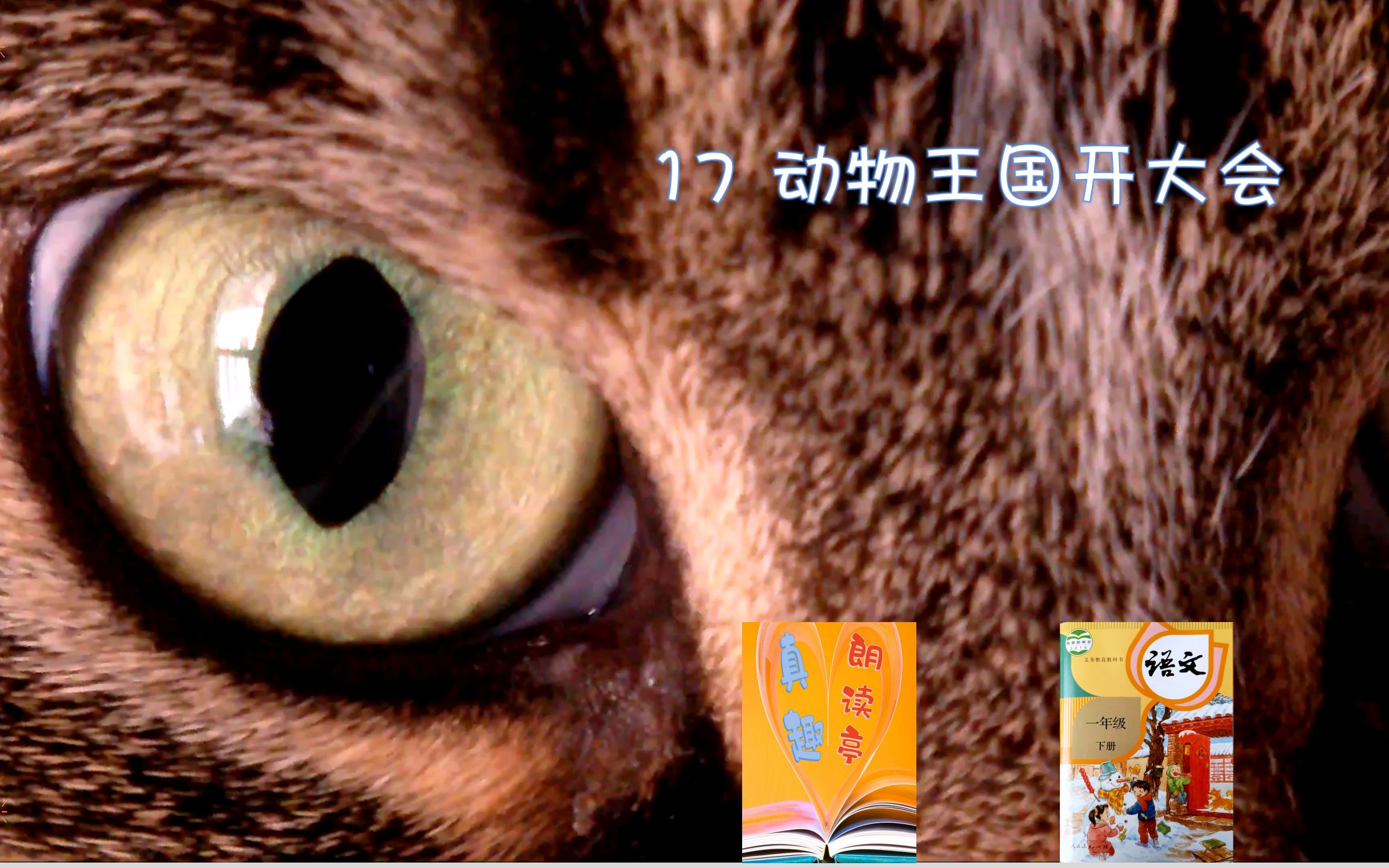 真趣朗读亭 《动物王国开大会》 语文一年级下册