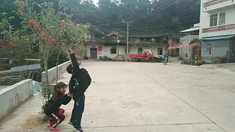 疫情期间农村生活现状,环境