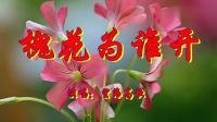 网络情歌! 望海高歌《槐花为谁开》, 好听极了