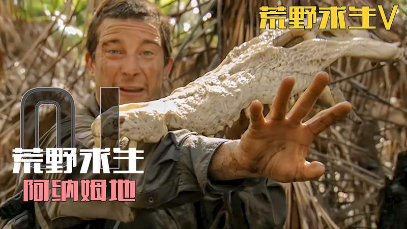 野外迷路了怎么办,看贝爷教你如何辨认方向,找寻出路