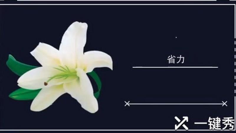 高大上名片设计模板