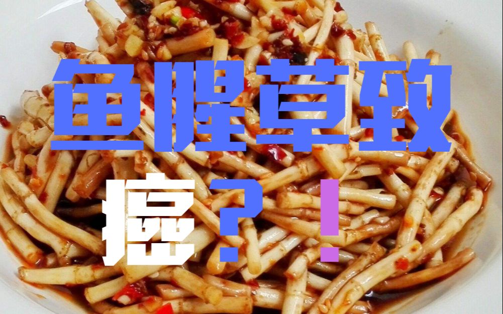 《辟谣》鱼腥草真的致癌吗?还是”治“癌?