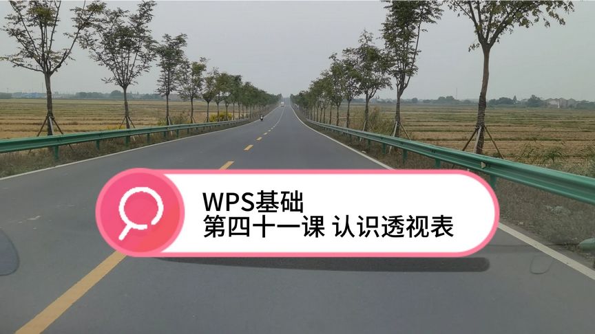 WPS表格 透视表(第四十一课 认识透视表)