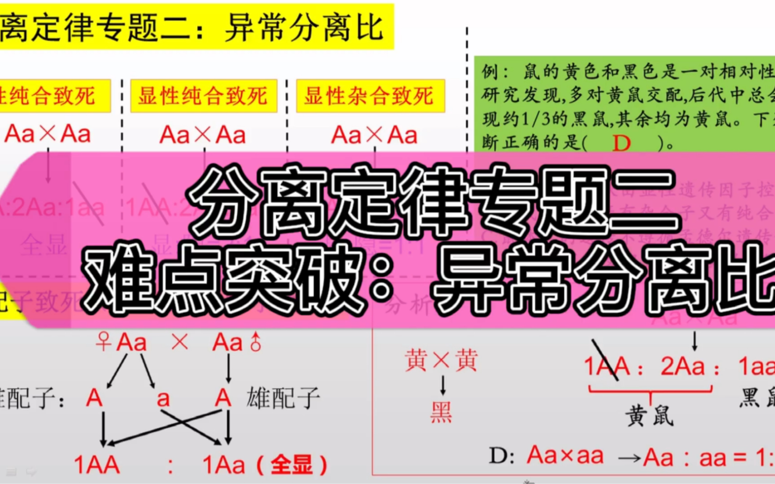分离定律专题2⃣️|异常分离比,致死问题