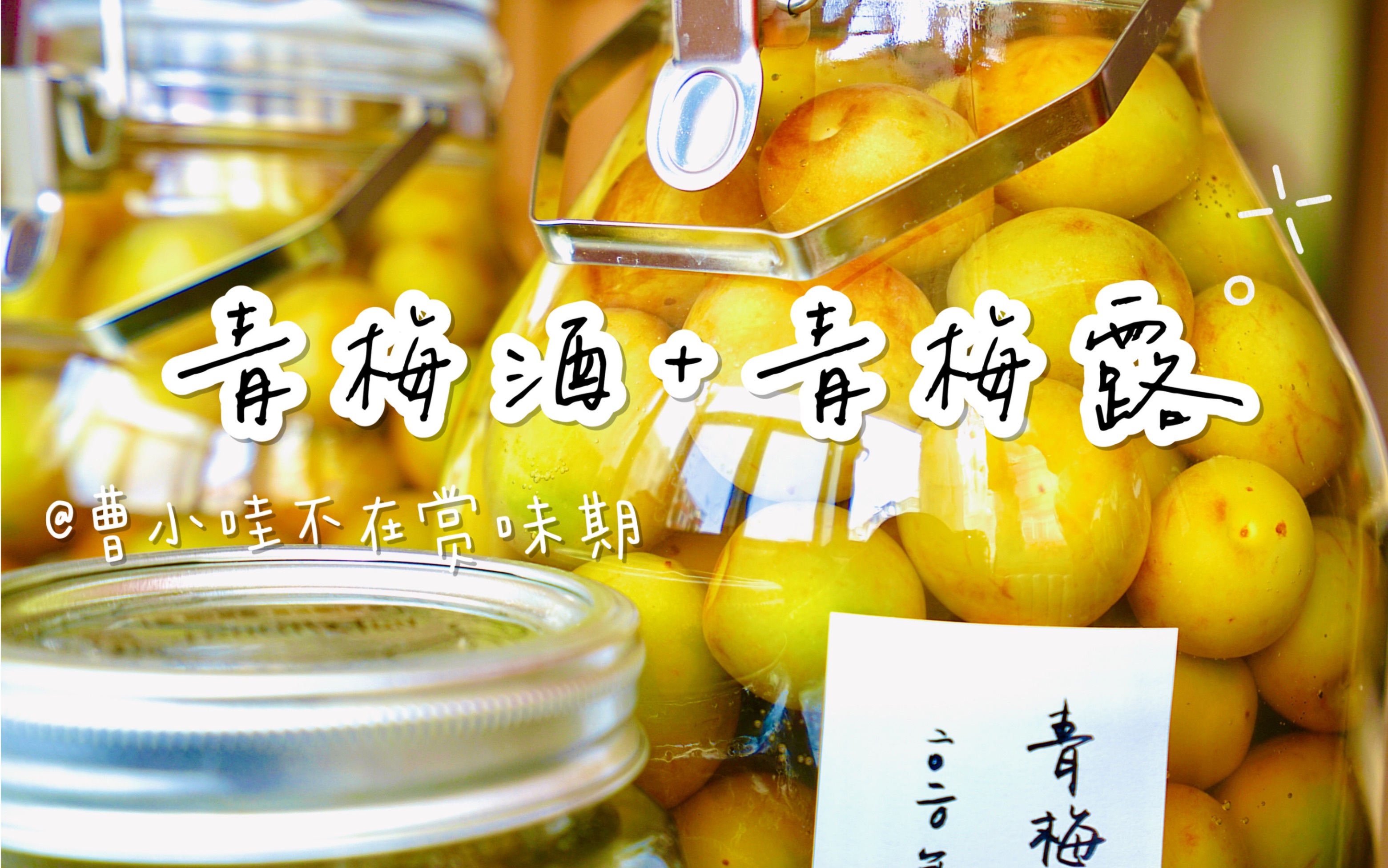 【青梅酒&青梅露】比想象得还要简单!附全网最详细步骤～