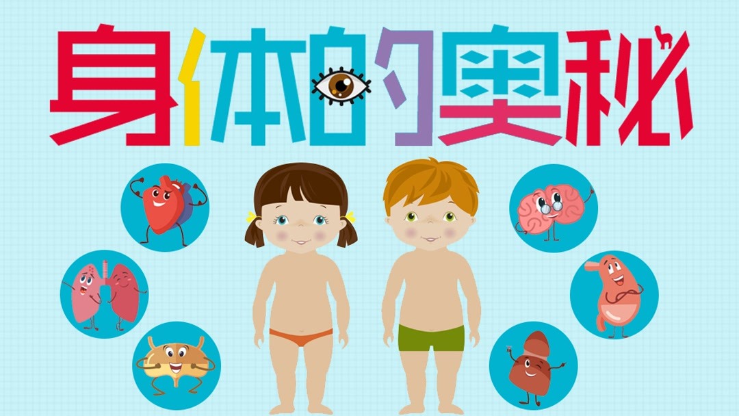 第3节:小眼睛看大世界