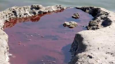 纪录片:莫诺火山口处,水质毒性逐年增加,微生物是如何存活的?