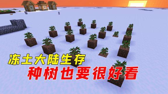 我的世界:雪地上也能种树?在冻土大陆,摆下树苗大阵!
