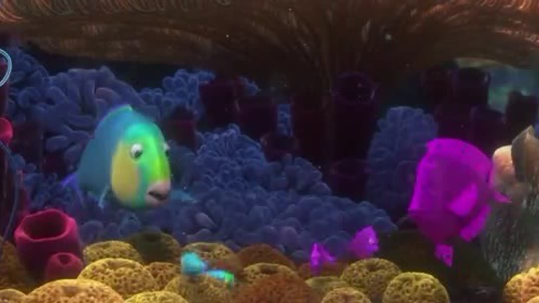 海底总动员 （国语）