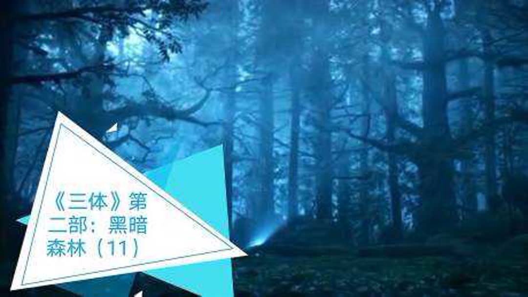 《三体》第二部:黑暗森林(11)