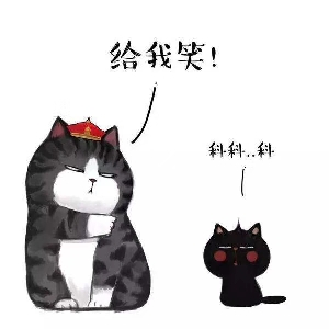 Li小鱼O-O 