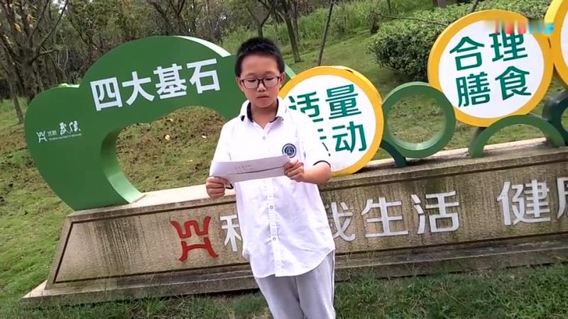 传统文化阳光阅读视频