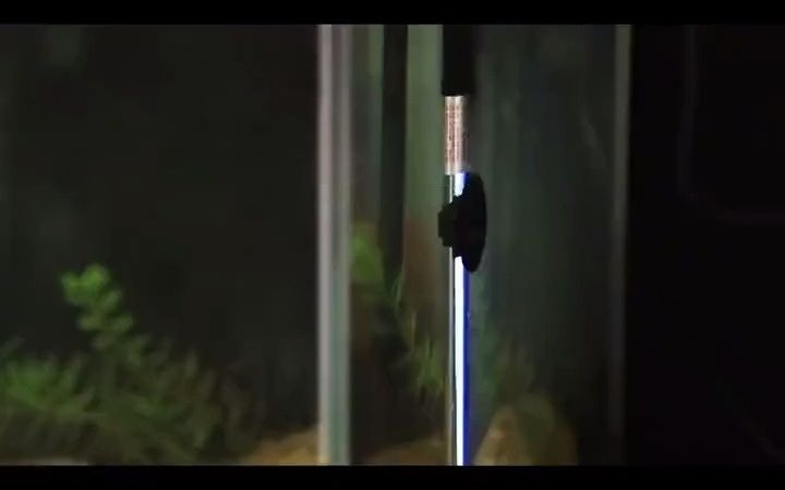 ...UV杀菌灯紫外线鱼池除藻潜水灭菌灯水族箱消毒内置杀菌灯#养鱼日记
