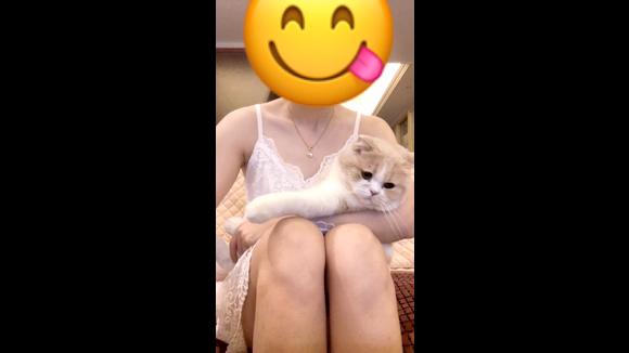 教大家如何用喂药器给猫咪喂药