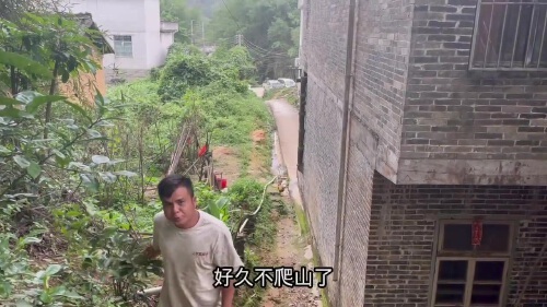 冬冬一家人上山摘野果子,山顶遇毒蚂蚁,被它咬一口立马肿起来