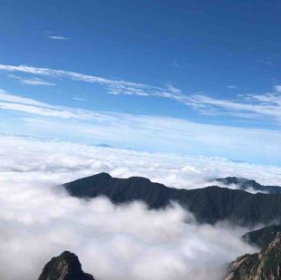 取一个好听的名字给自己吧 