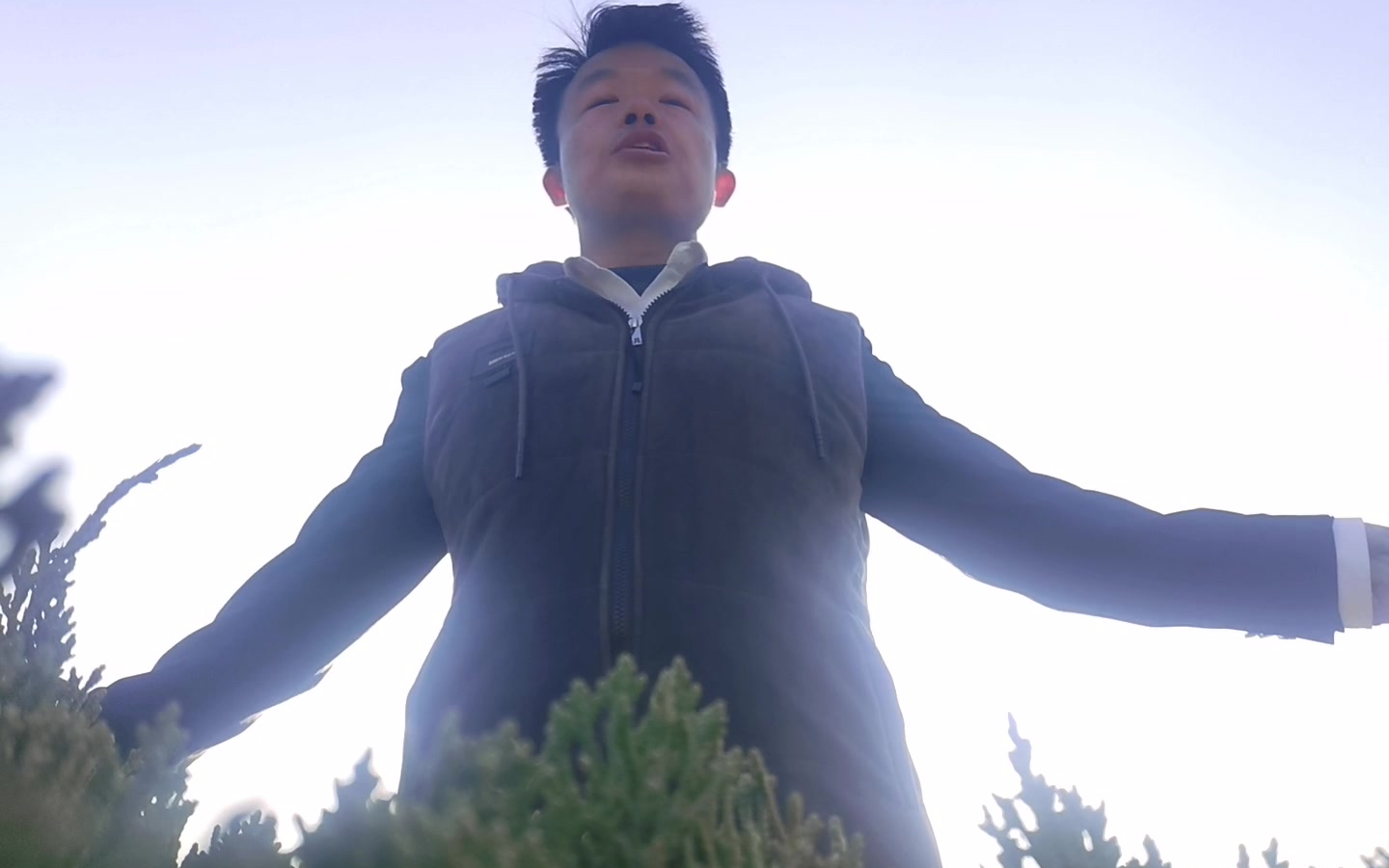 真我的风采系列Ⅱ