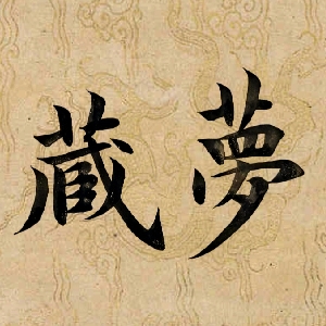 藏梦君 