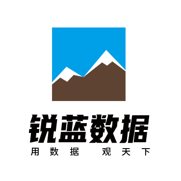 锐蓝数据 