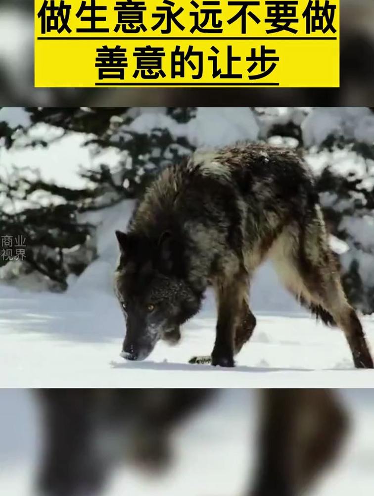 经商永远不要去做善意的让步,商业模式是设计出来的