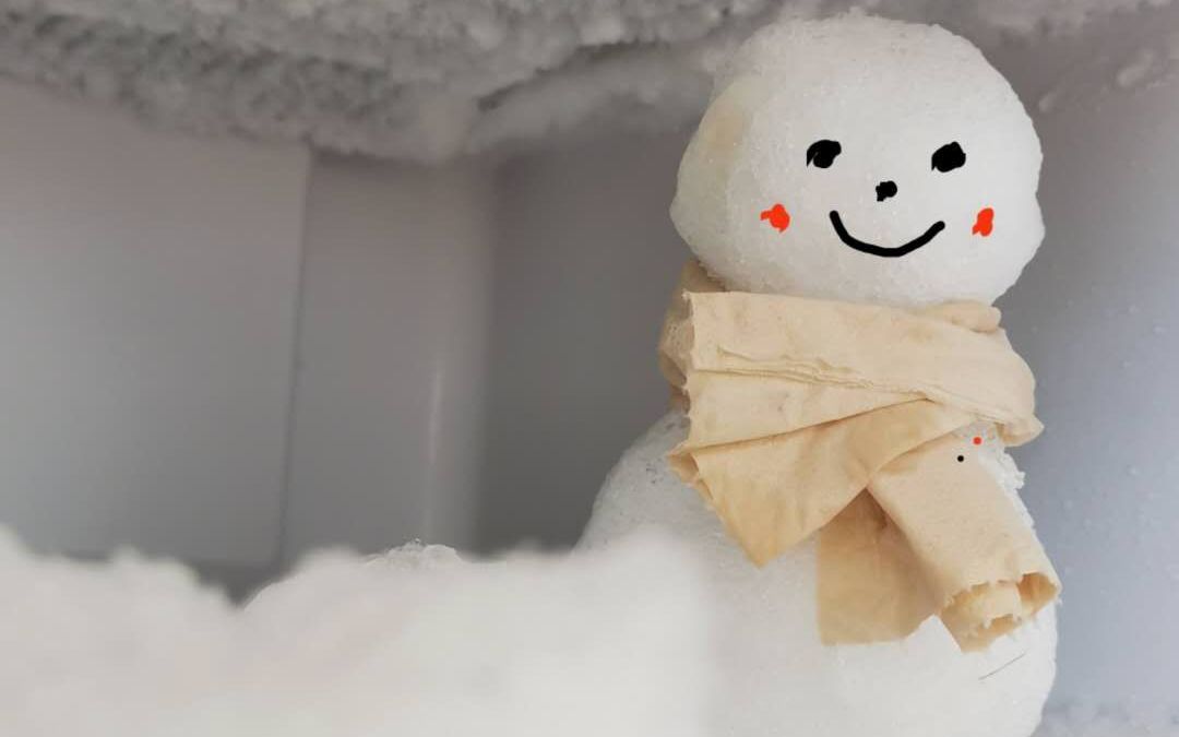 【Snow man】5级萌猩 pr转场练习+ 魔爪云台初试水视频