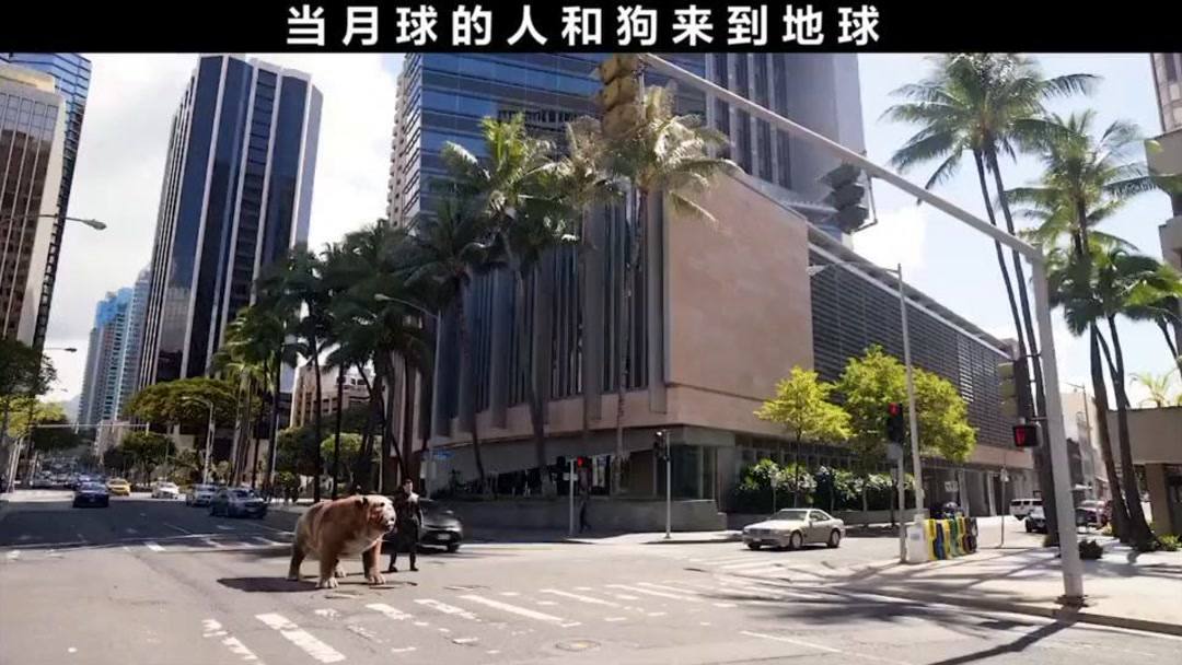 不好意思第一次来地球《异人族》