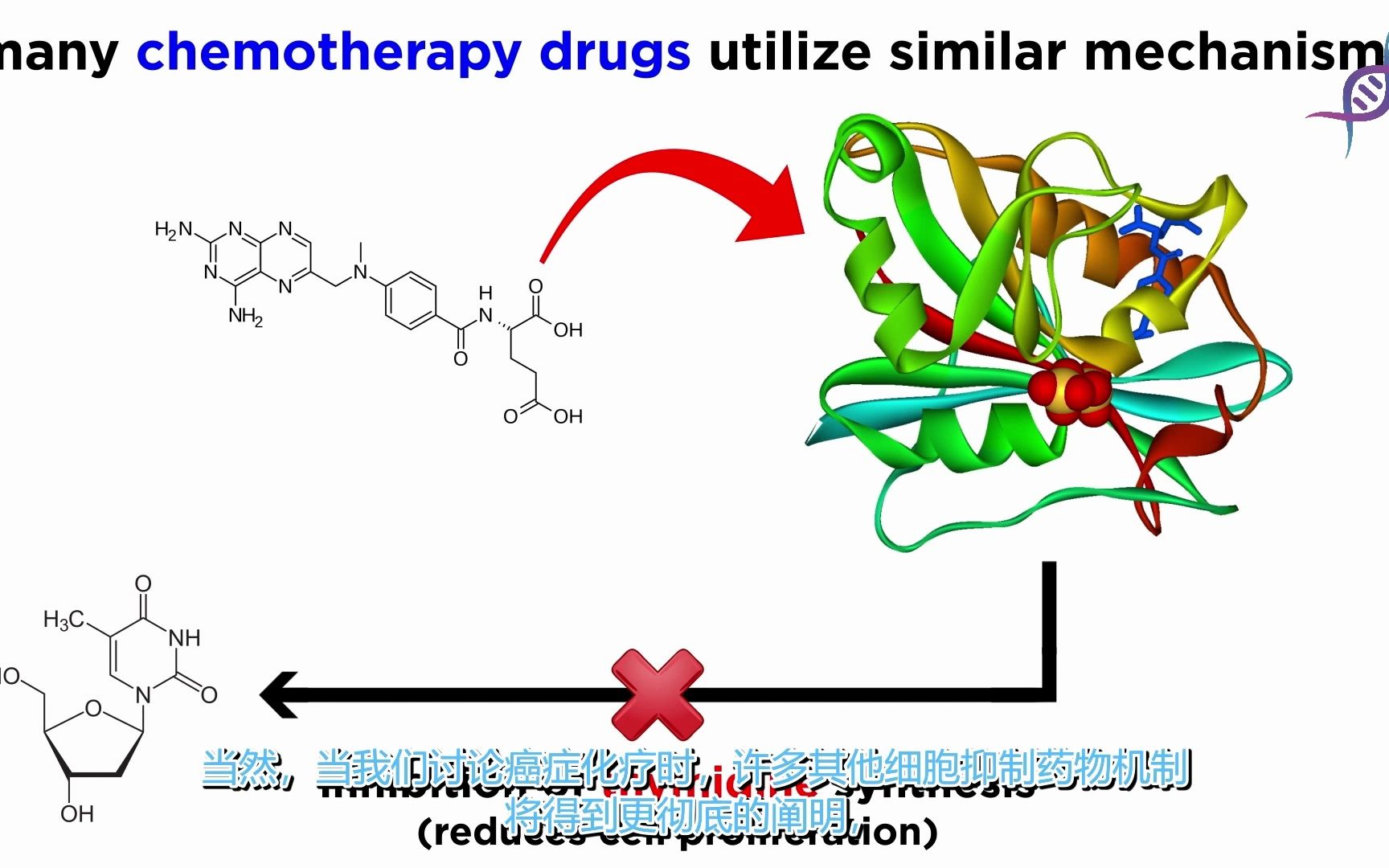 免疫调节剂第 1 部分:免疫抑制剂+免疫调节剂第 2 部分:免疫增强剂+支...