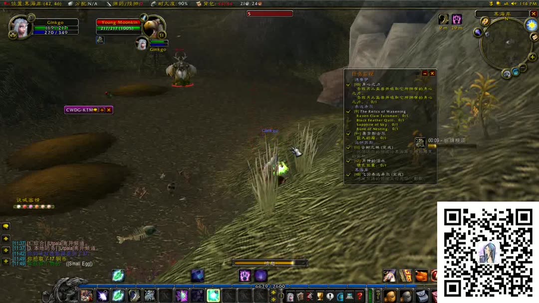 魔兽世界60年代 10级德鲁伊变身任务 熊形态