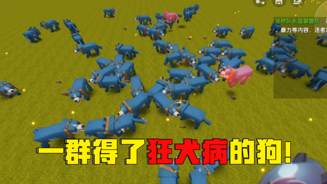 迷你世界:野外遇到一群互相攻击的狗狗,差点咬到我!