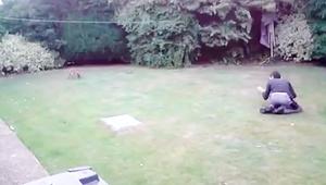 这人看到一只狐狸,做出的动作让人不理解,是被迷惑了心智吗