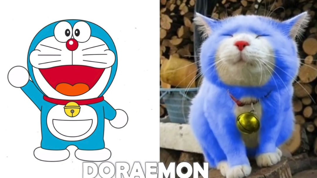 哆啦A梦:哆啦A梦现实中的样子 你见过吗