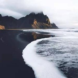 阅读一棵树 