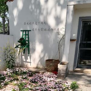 可乐王子37778317 