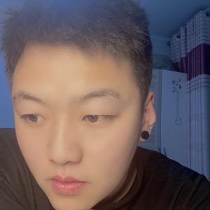 会飞的鱼 