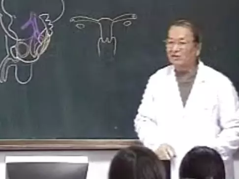 13动脉、静脉.wmv