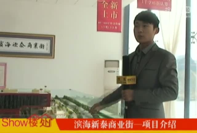 show楼-滨海新泰商业街-项目介绍