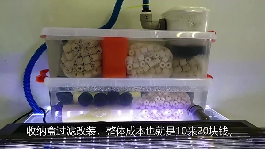 20元收纳盒DIY一个上部过滤,滤材虽简单,可水清鱼肥啊
