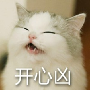 中国养猪生活