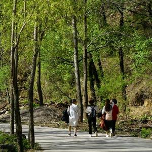 爱大自然的香香 