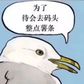 考研废仔 